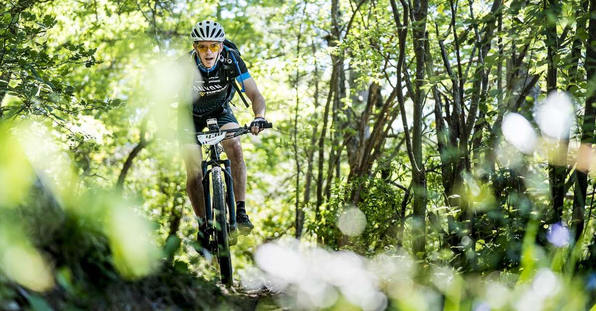 N°39 (Rouge) – Ravin de la Mèque (La Roche-des-Arnauds) | Provence ...