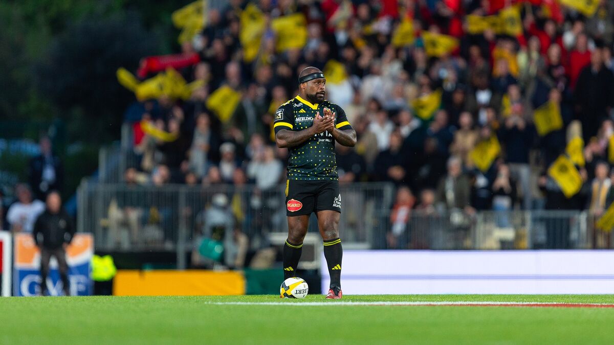 Levani Botia, 10 ans en Jaune et Noir ! | Stade Rochelais