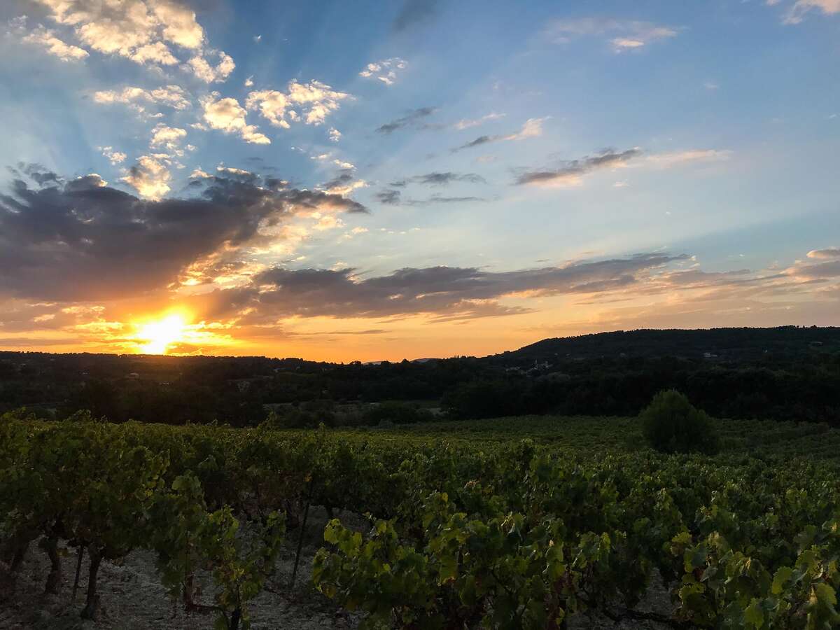 Provence organic wine – Raise your glass to traditional know-how!