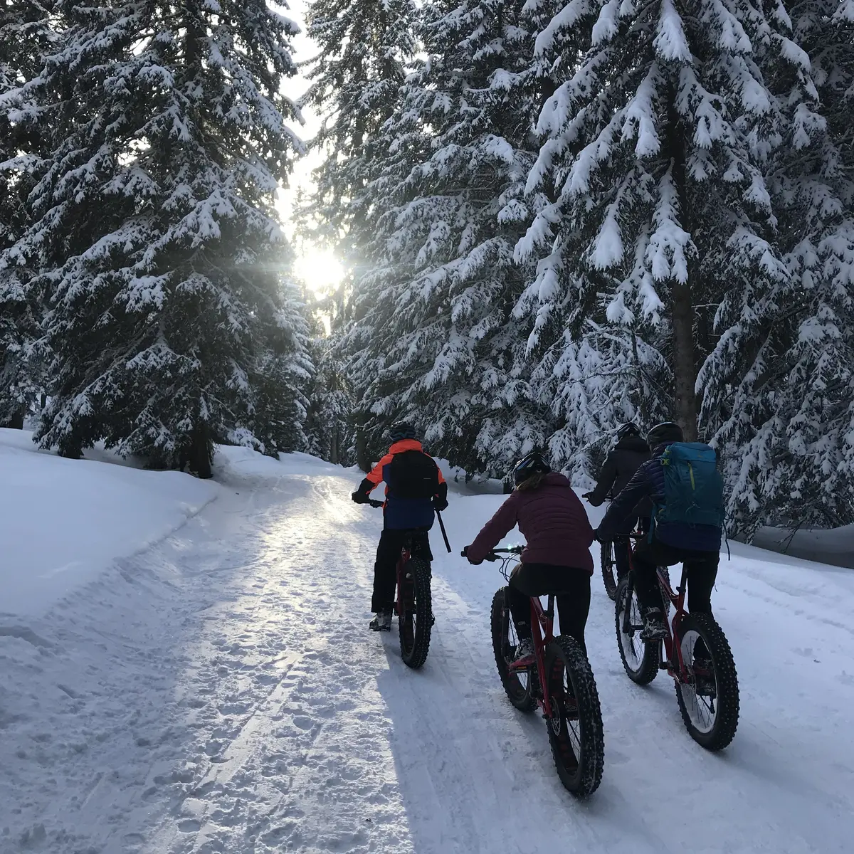 Supervised Fat Bike outing (Taninges) | Haute-Savoie Mont-Blanc