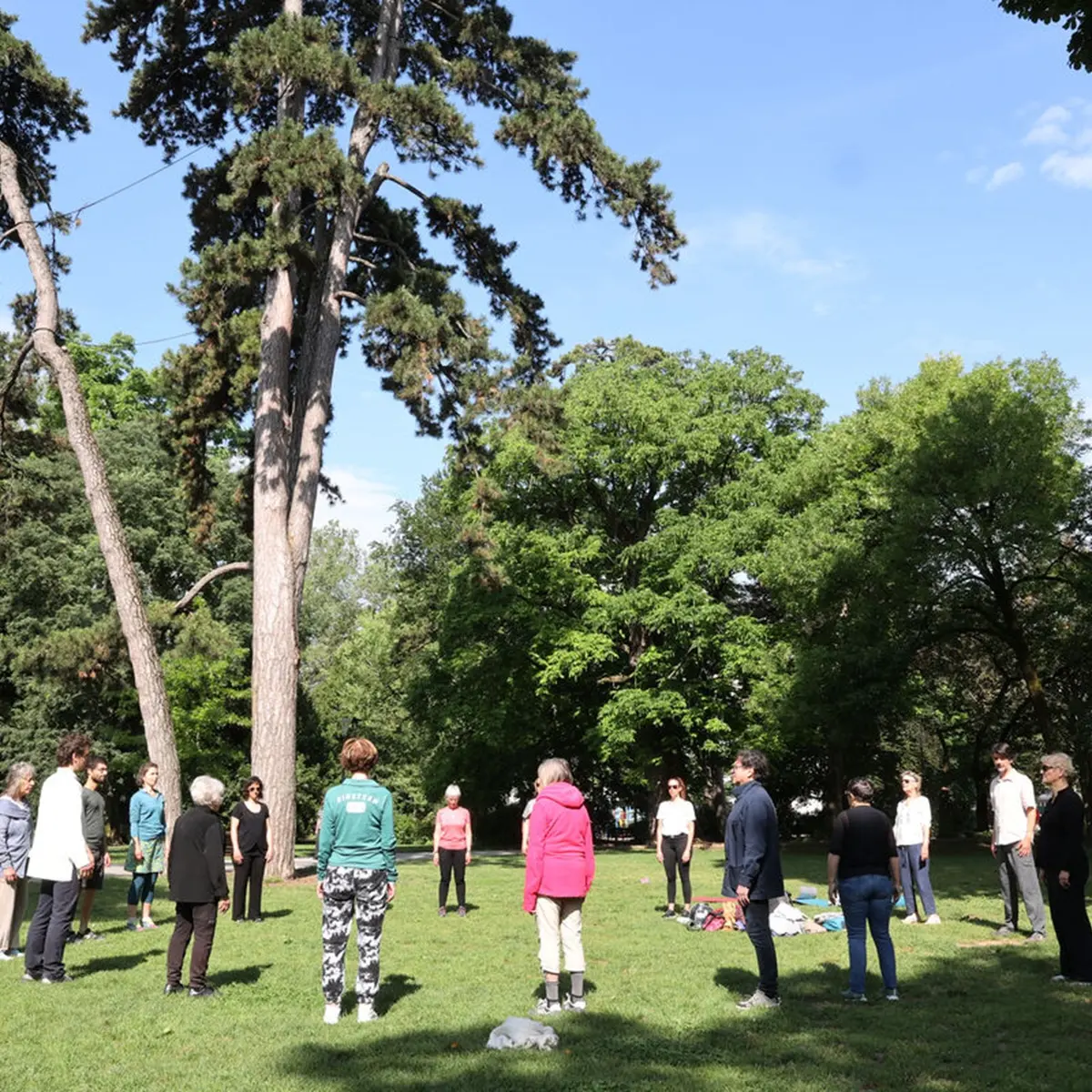 Matinées Taï Chi : Qi Gong avec l’association Ressources (Chambéry ...