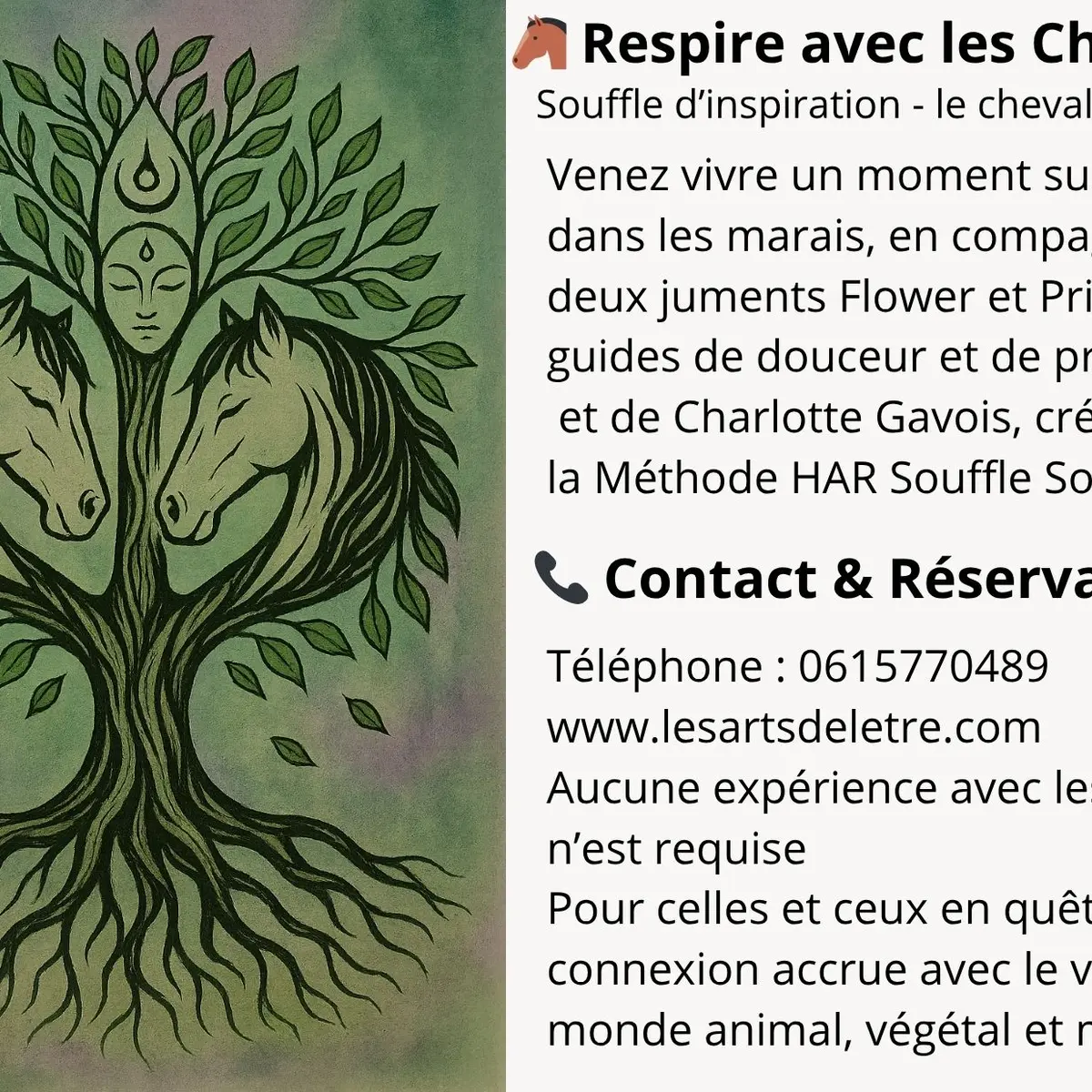 Respire avec les chevaux – Nature immersion and horseback riding (Saint ...