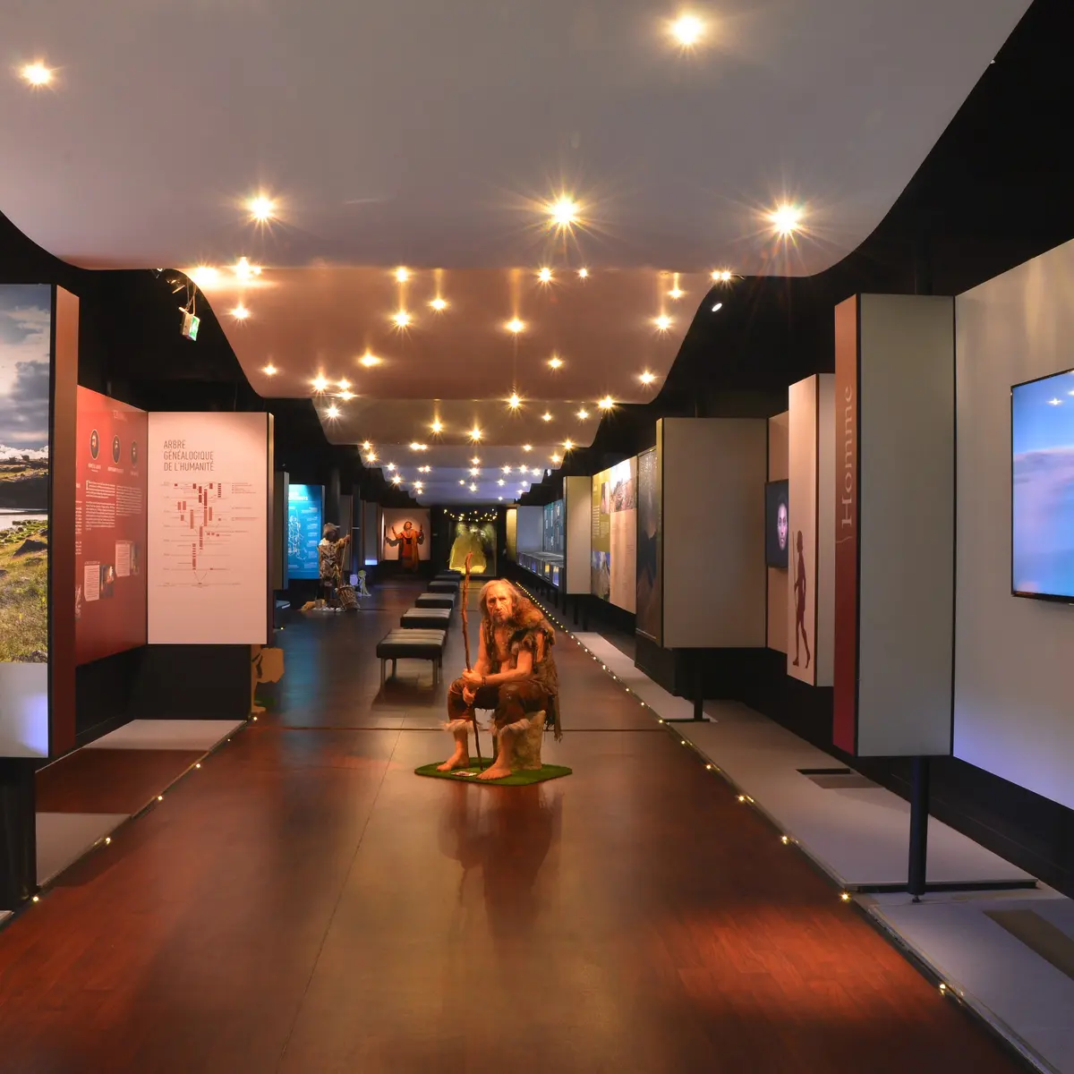 Musée Départemental Des Merveilles à Tende Tende Office De Tourisme