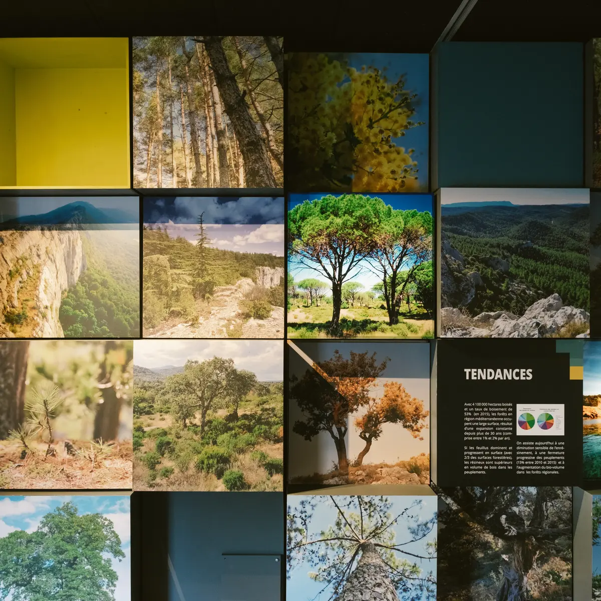 Ecomusée de la Forêt Méditerranéenne (Gardanne) | Provence-Alpes-Côte d ...
