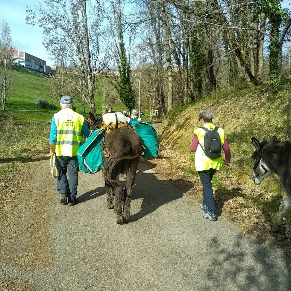 Escap’âne repas compris avec les ânes de Bon’âne-Venture (Lafrançaise ...