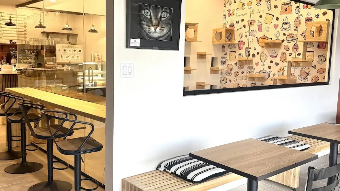 Le Café Refuge (Lévis) | Chaudière-Appalaches près de Québec