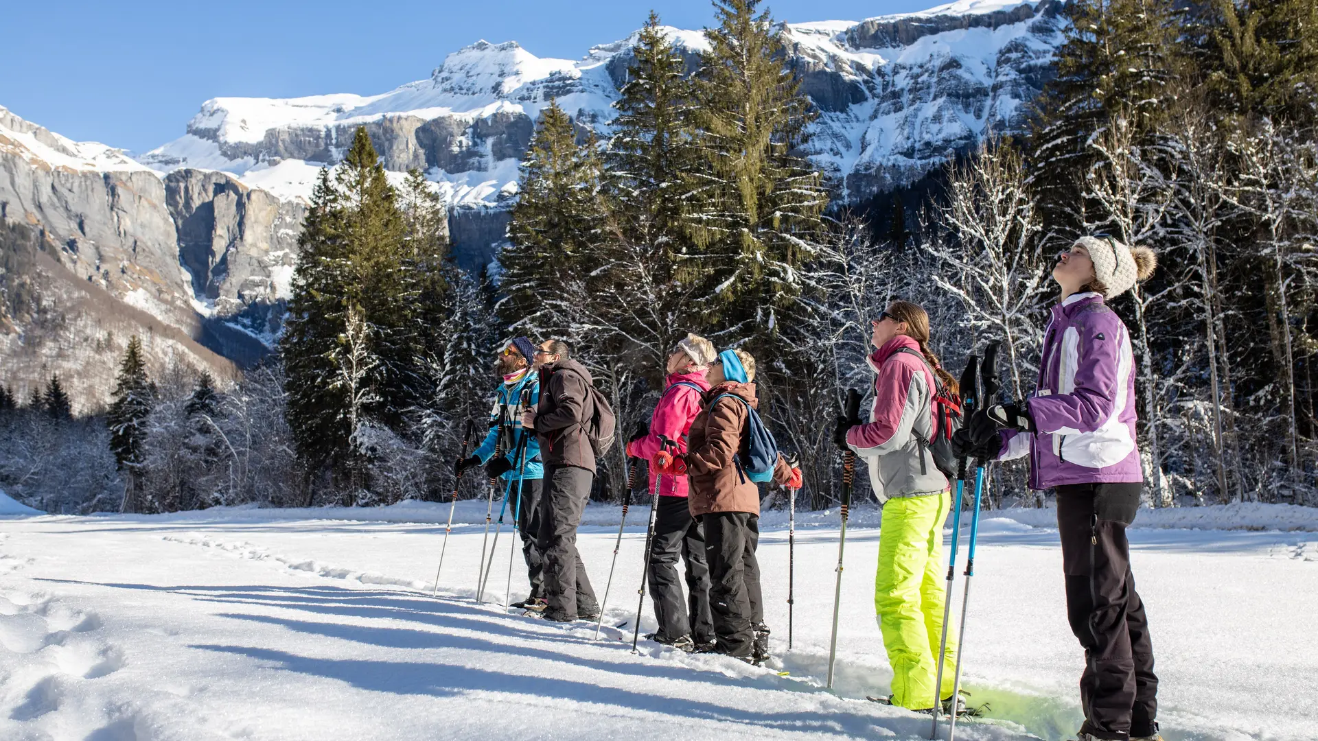 Snowshoe trekking: Ibex observation and nature reserve (Sixt-Fer-à ...