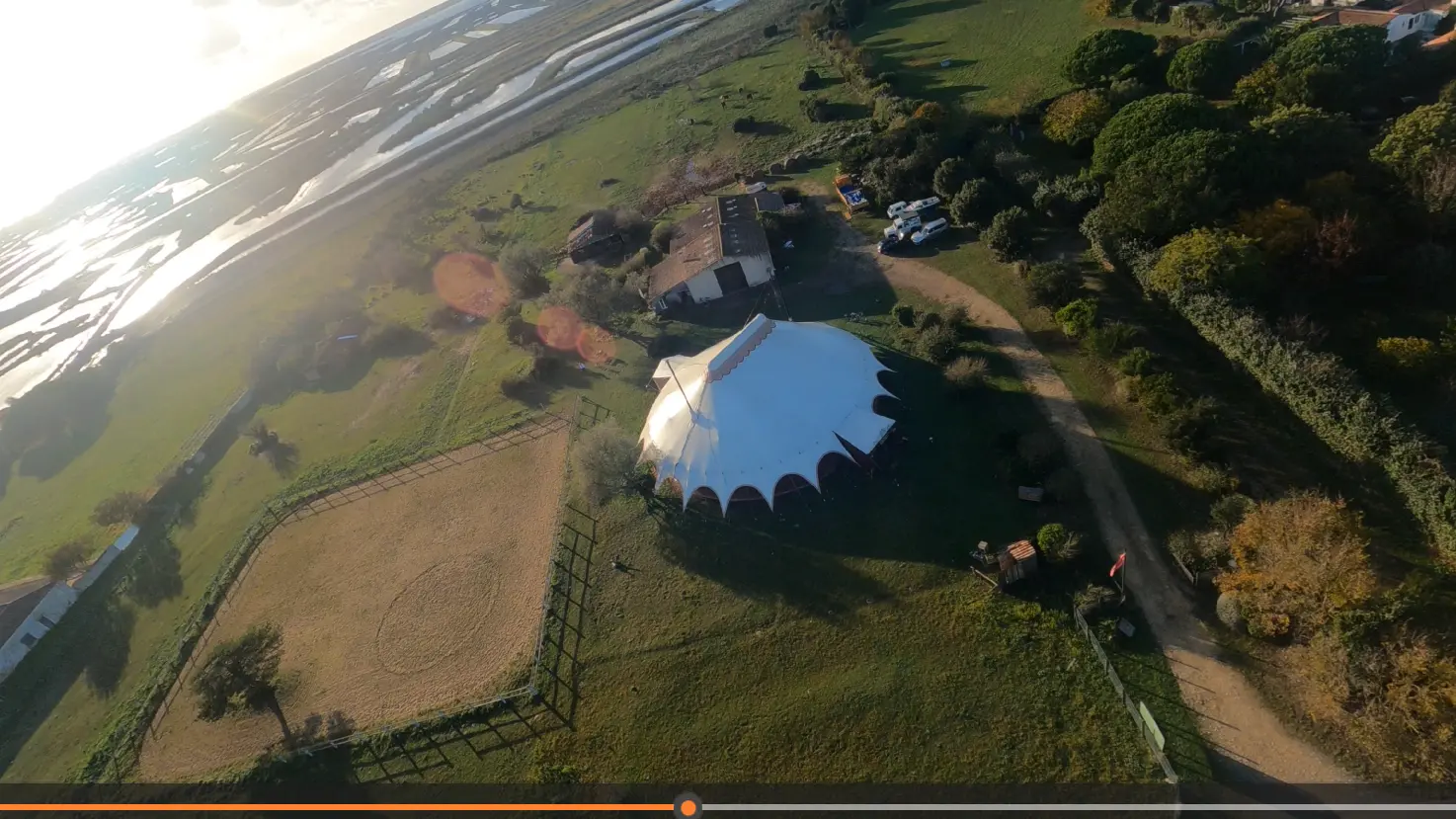 Respire avec les chevaux – Nature immersion and horseback riding (Loix ...