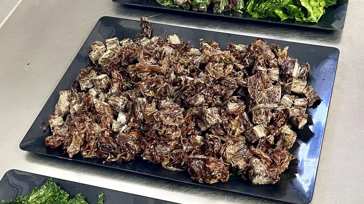 Visit to the Aoré seaweed farm (La Flotte) | Destination Île de Ré