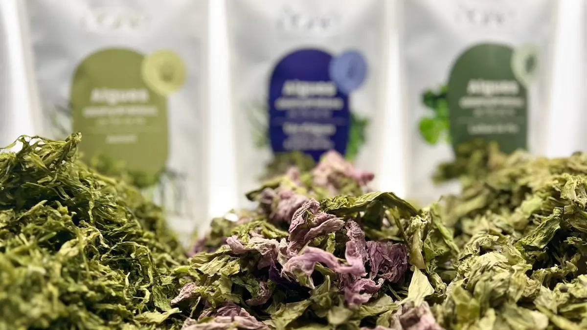 Visit to the Aoré seaweed farm (La Flotte) | Destination Île de Ré