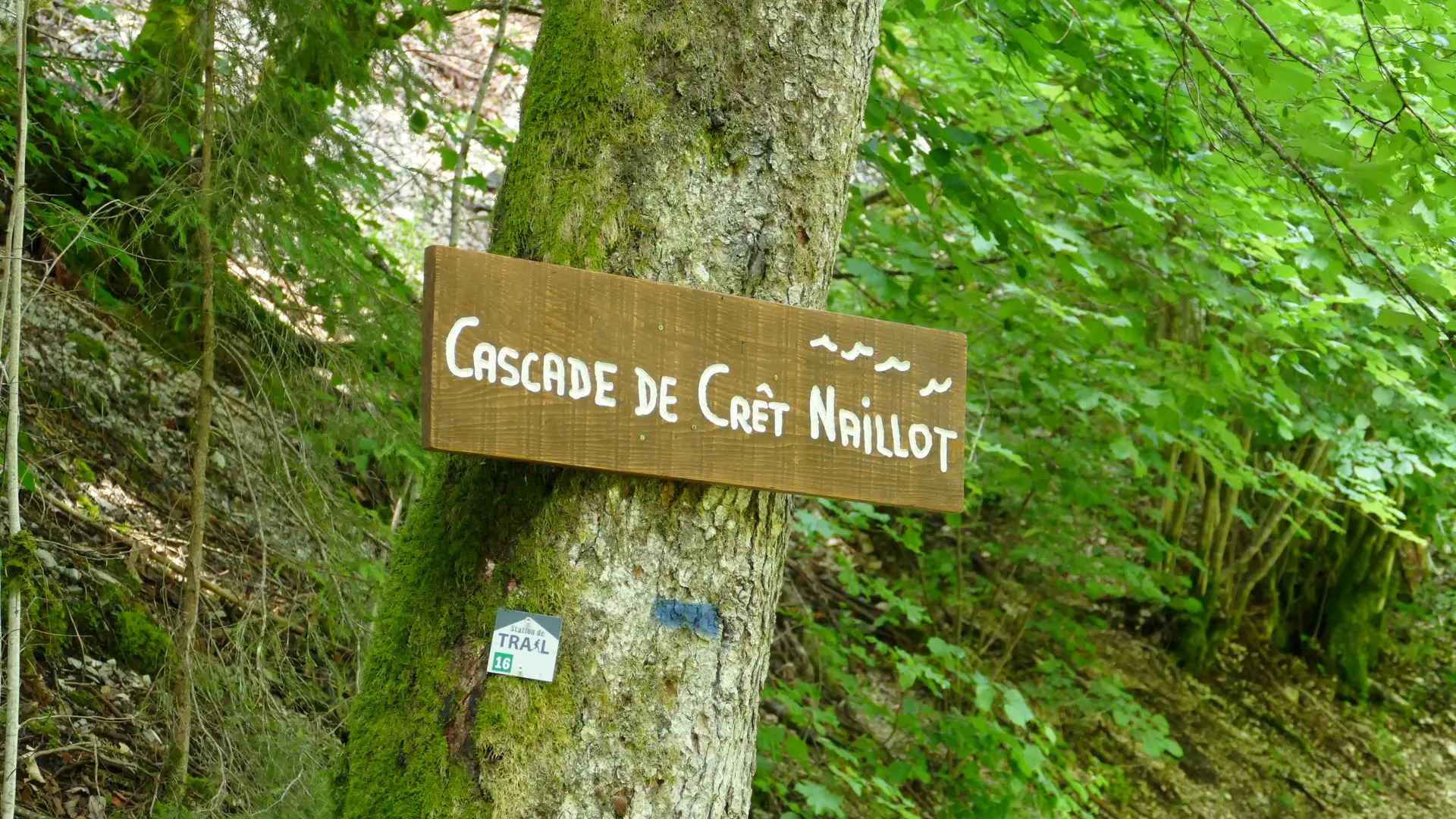 Les 3 cascades de Brénod (Brénod) | ADT Ain