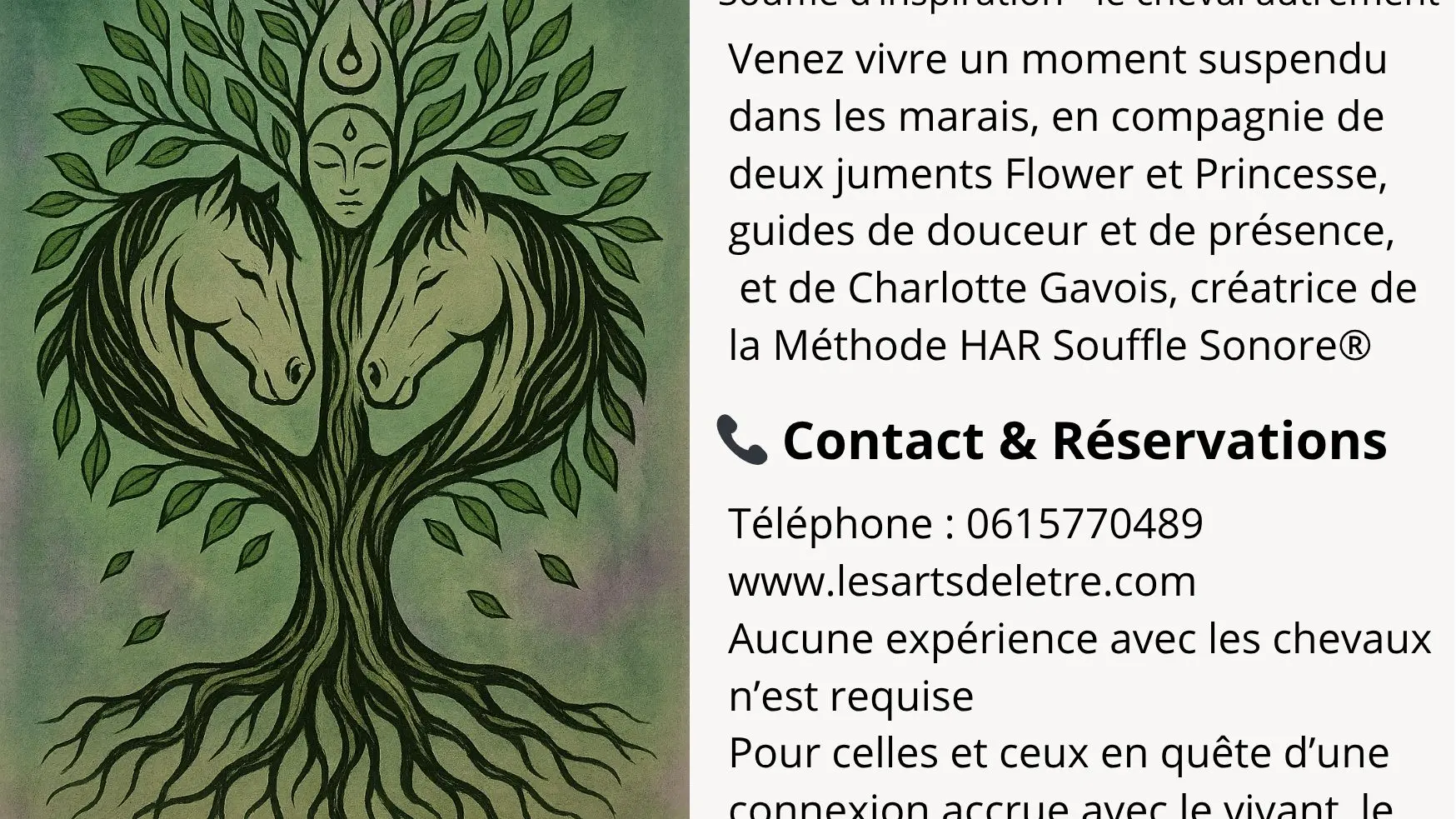 Respire avec les chevaux – Nature immersion and horseback riding (Saint ...