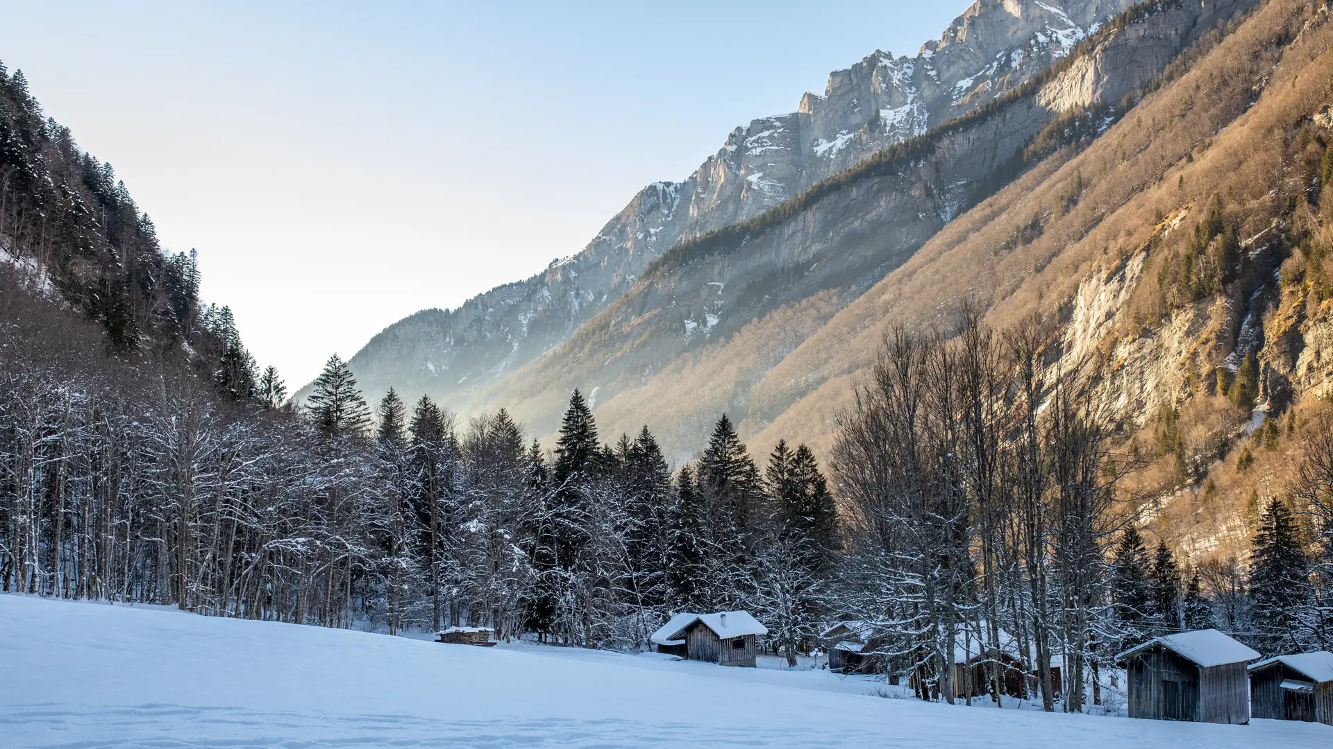 Randonnée en raquettes : Observation bouquetins et réserve naturelle ...