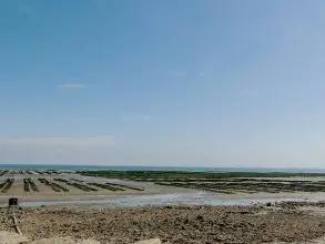 Huîtres Pouneau (La Flotte) | Destination Île de Ré – Sitio oficial de ...