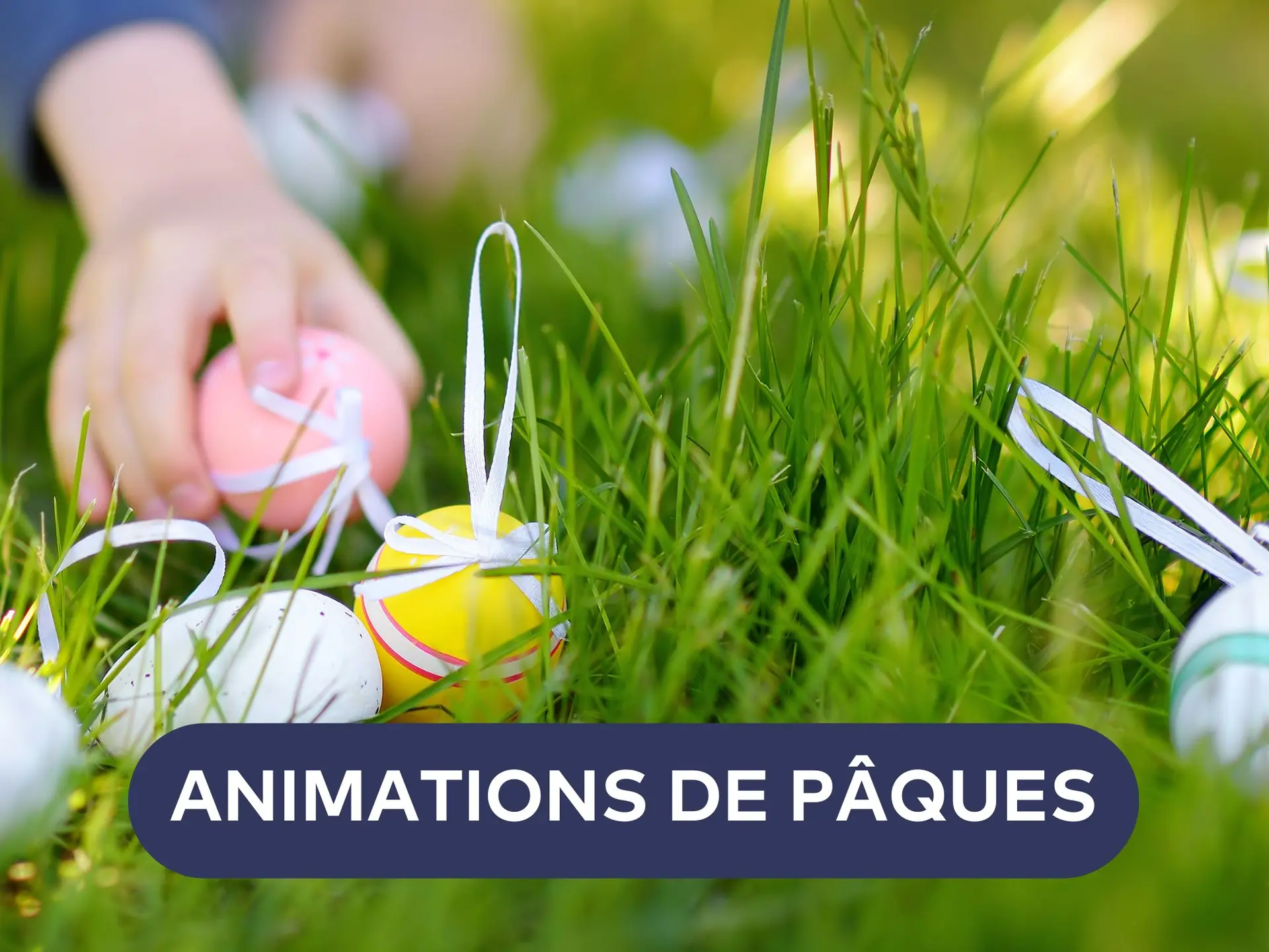 Easter egg hunt de Pâques (Le Pradet) | Provence-Alpes-Côte d'Azur Tourism