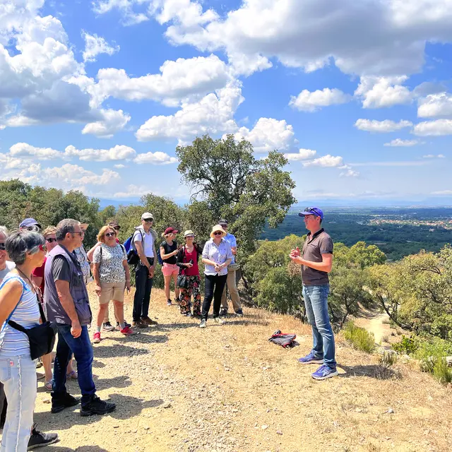 GUIDED NATURE WALK – VALMY AU NATUREL (Argelès-sur-Mer) | argeles-v2