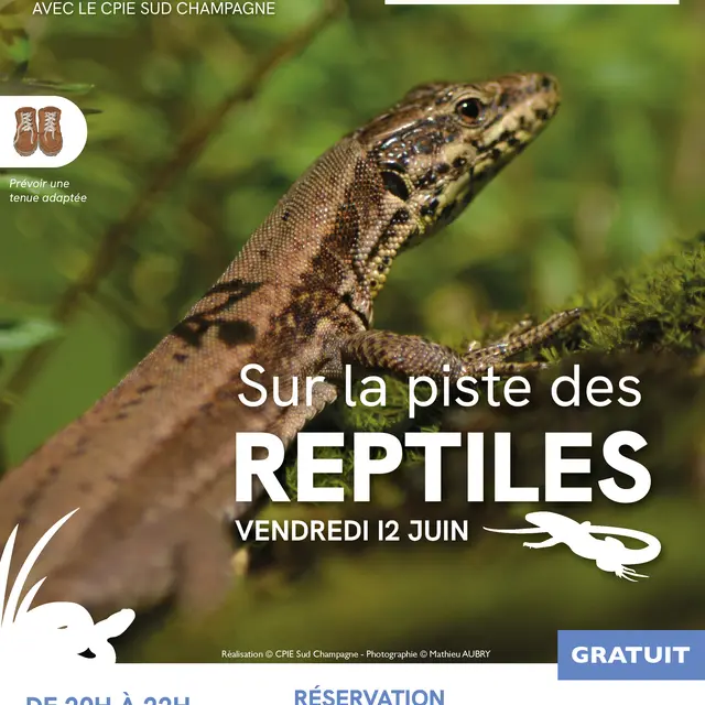 Sur la piste des reptiles (La Porte du Der) | Office de Tourisme Lac du ...