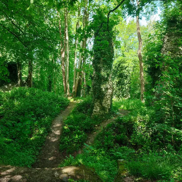 [Balade nature] Le Petit peuple du Bois de Bernouville (Hautot-sur-Mer)