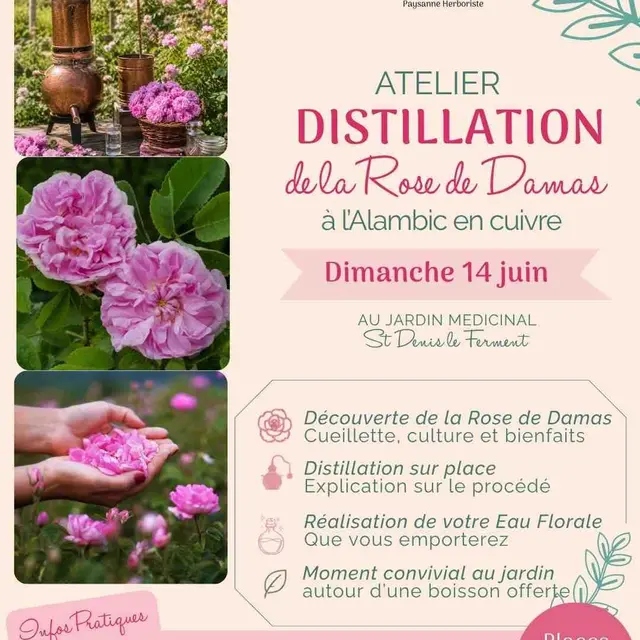 Atelier distillation de la Rose de Damas (Saint-Denis-le-Ferment ...