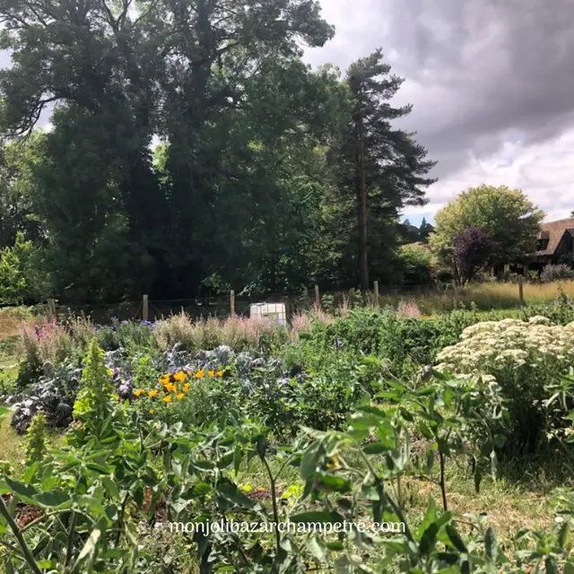 Rendez-vous aux Jardins – Jardin de production de plantes médicinales ...