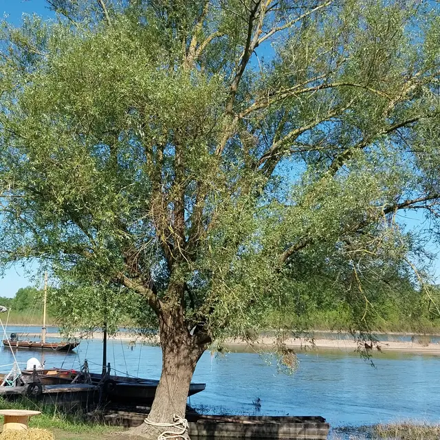 Entre Loire et Coteau (Chaumont-sur-Loire) | Blois Chambord - Loire ...