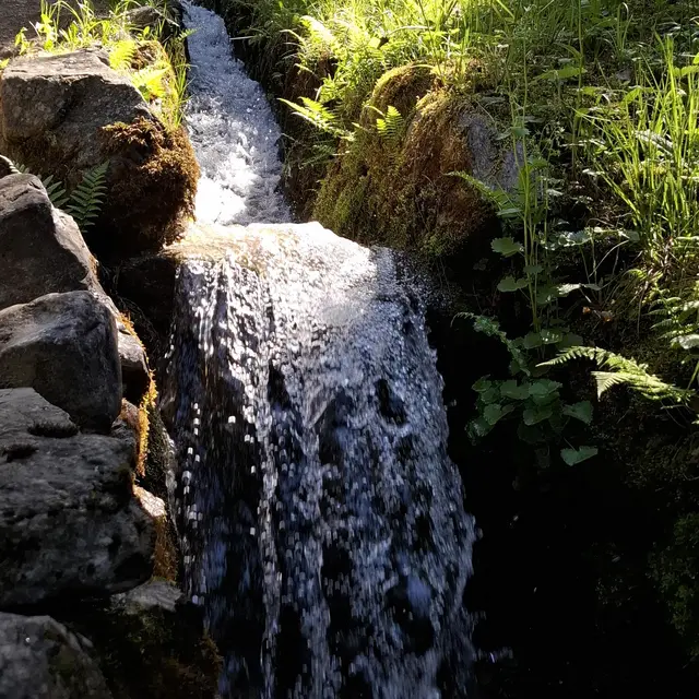 Aquarellkurs im Freien (Bruson) | Verbier - Val de Bagnes | Office du ...
