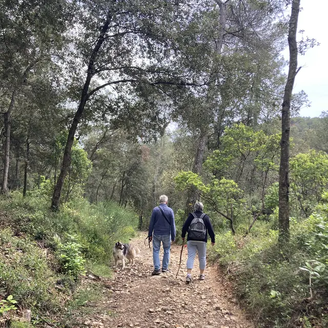 Le Carton – Valbonne (Valbonne) | Côte d’Azur France / French Riviera