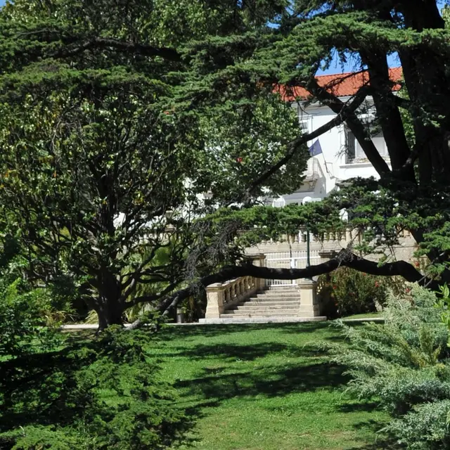 Parc de Maison Blanche – Charles Aznavour (Marseille 9ème) | Provence ...