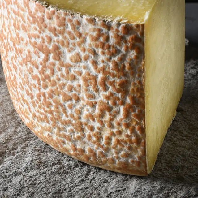 cantal cheese