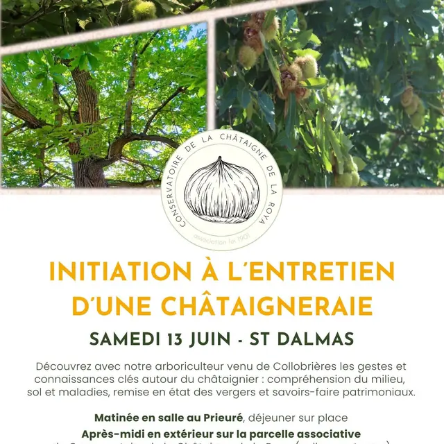 Introduction to chestnut grove maintenance (Tende) | Provence-Alpes ...