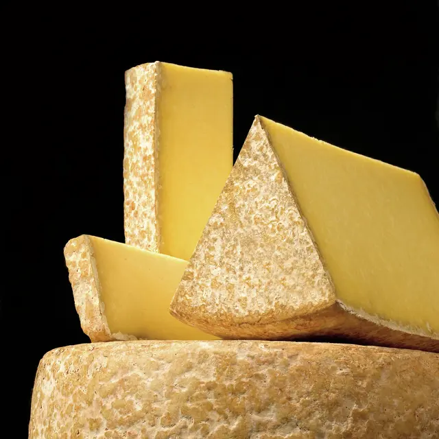 cantal cheese