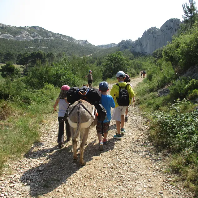 A walk with the Little Donkeys: “Les Caisses de Jean-Jean” at a donkey ...