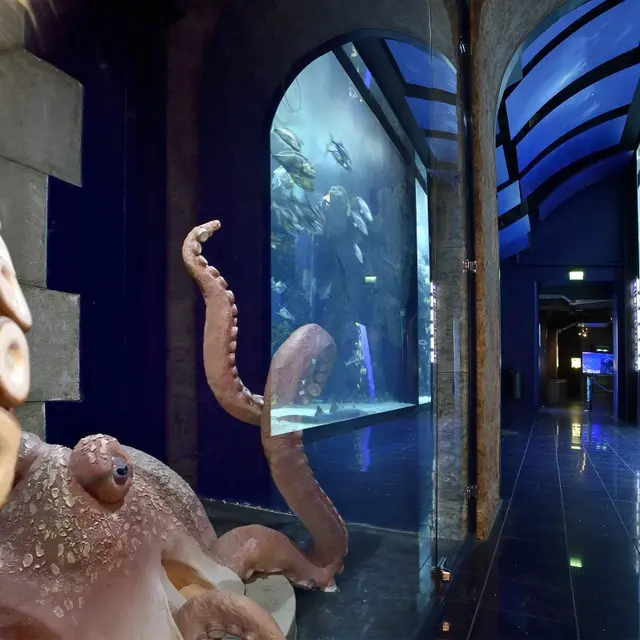oceanic museum monaco