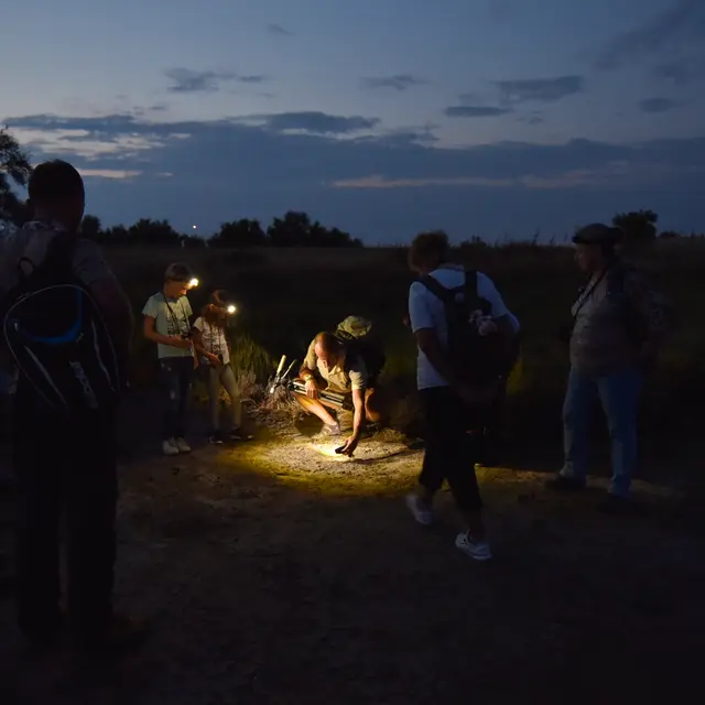 Escales Patrimoine : Randonnées à la frontale et observation des ...
