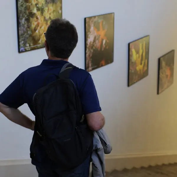 Soirée de restitution du City Nature Challenge 2026 (Marseille 4ème ...