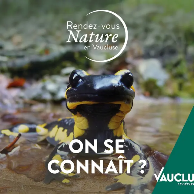 Rendez-vous Nature : Le moulin Virgile, de l’ombre à la lumière ...