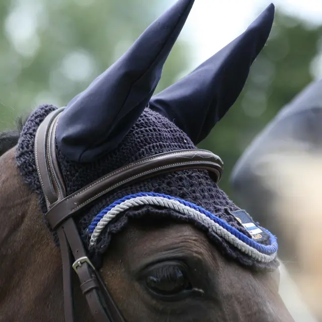 Tournée des As – Concours de saut d’obstacles (Chazey-sur-Ain) | ADT Ain
