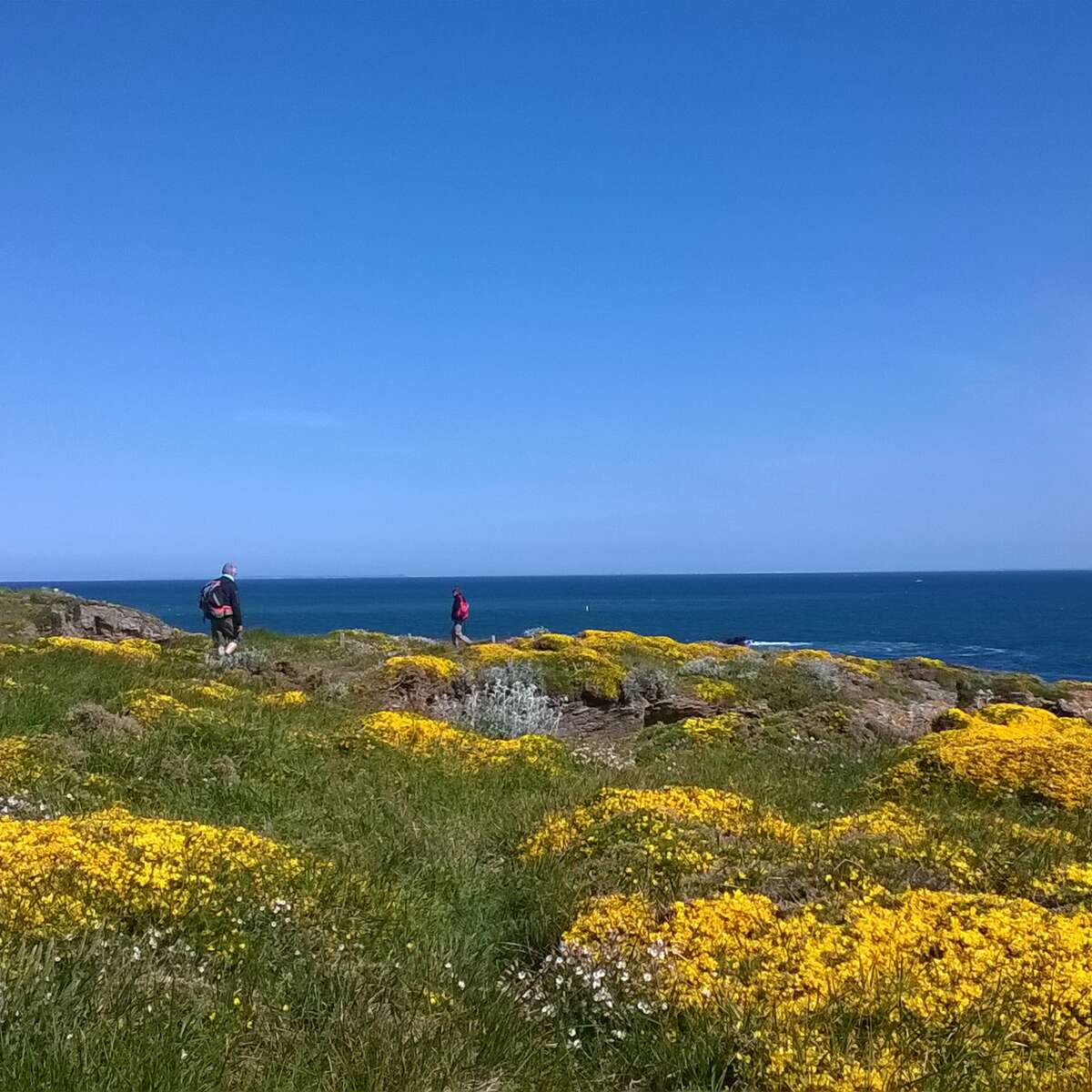 Sauzon and its picturesque port | Belle-Île-en-Mer Tourist Office ...