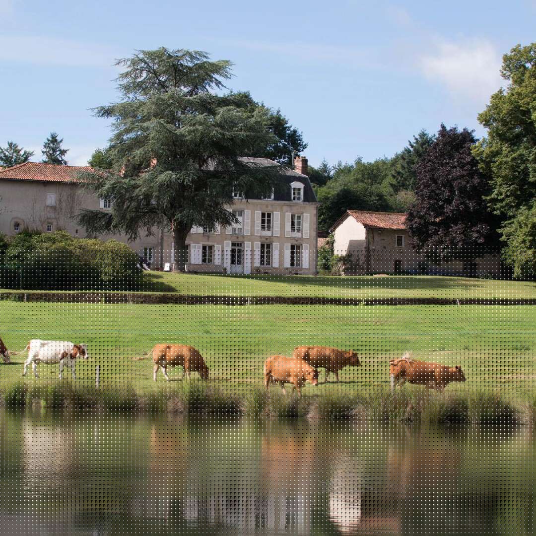 Le Parc Naturel Régional du plateau de Millevaches en Limousin ...