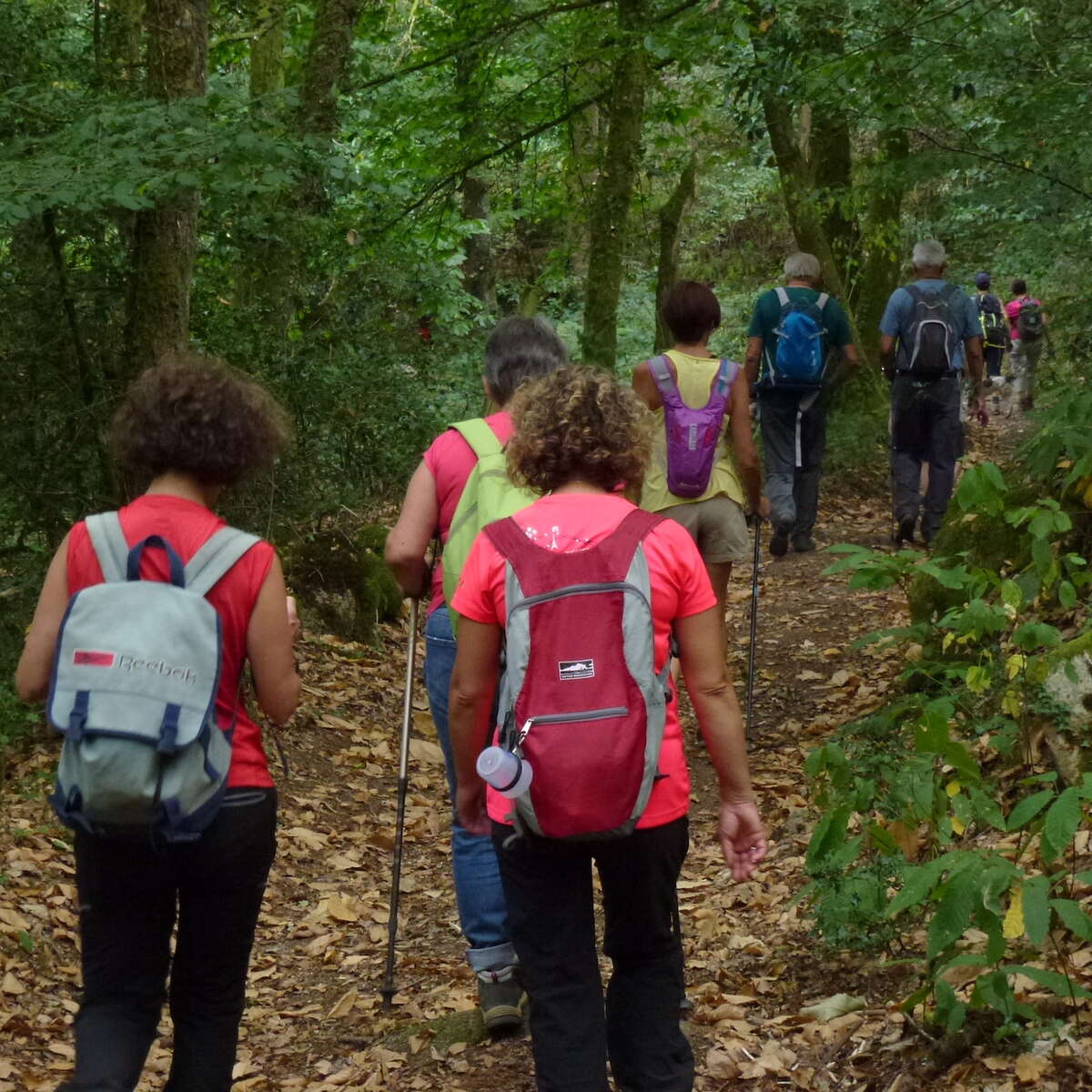 Château de Montautre | Limousin – Nouveaux Horizons