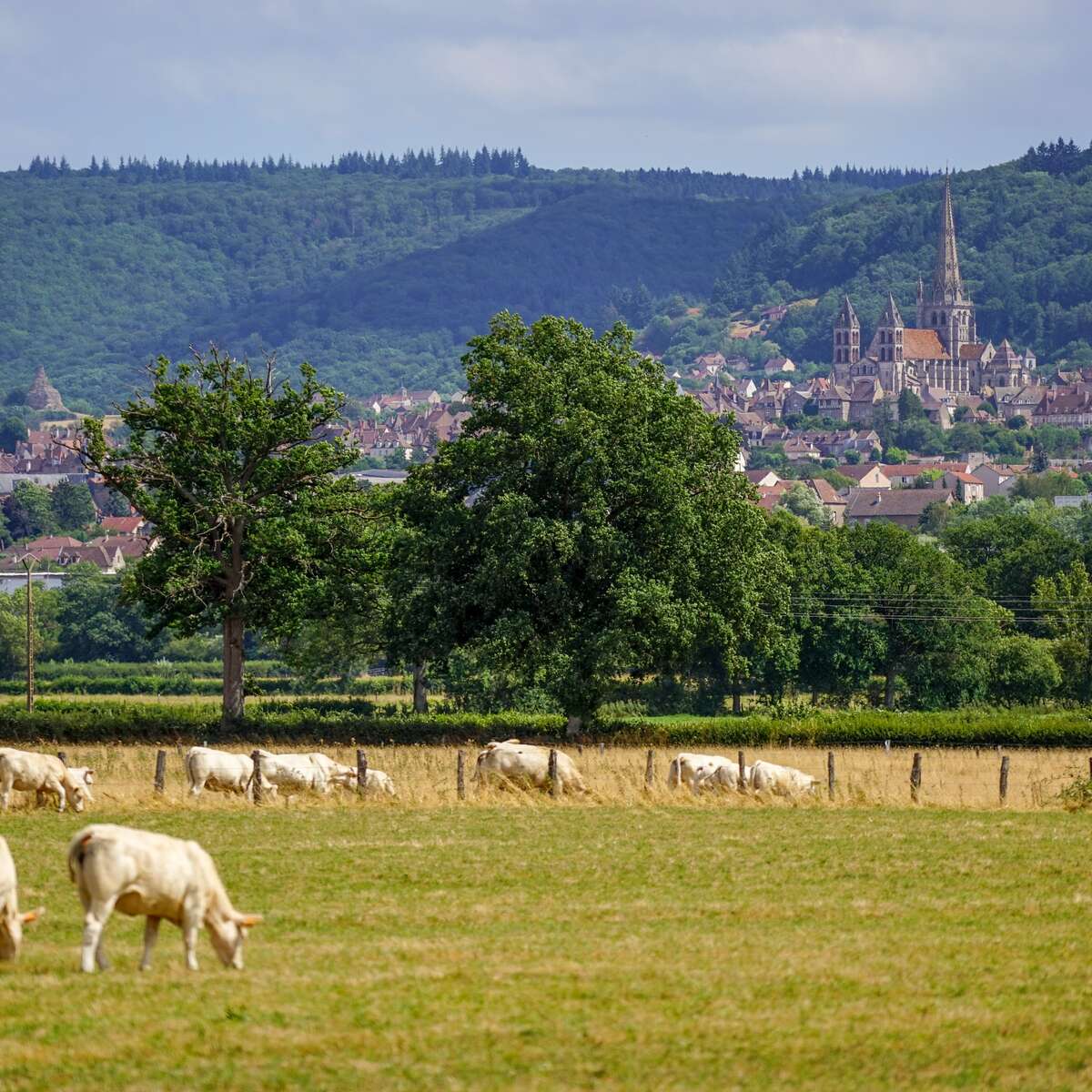 Bienvenue ! | Office de tourisme d'Autun et du Grand Autunois Morvan
