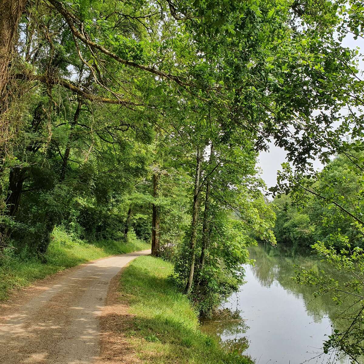 Randonnées pédestres en forêt de Mervent | Office de Tourisme Vendée ...