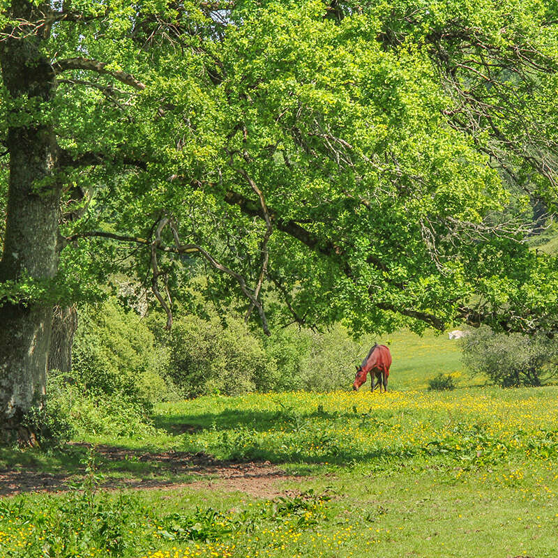 Château de Montautre | Limousin – Nouveaux Horizons