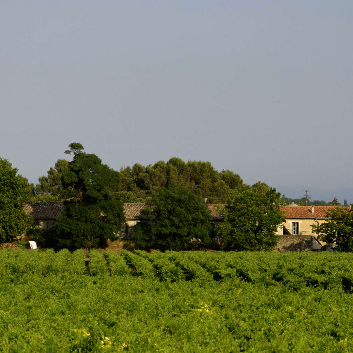 Juvignac | Montpellier Tourisme