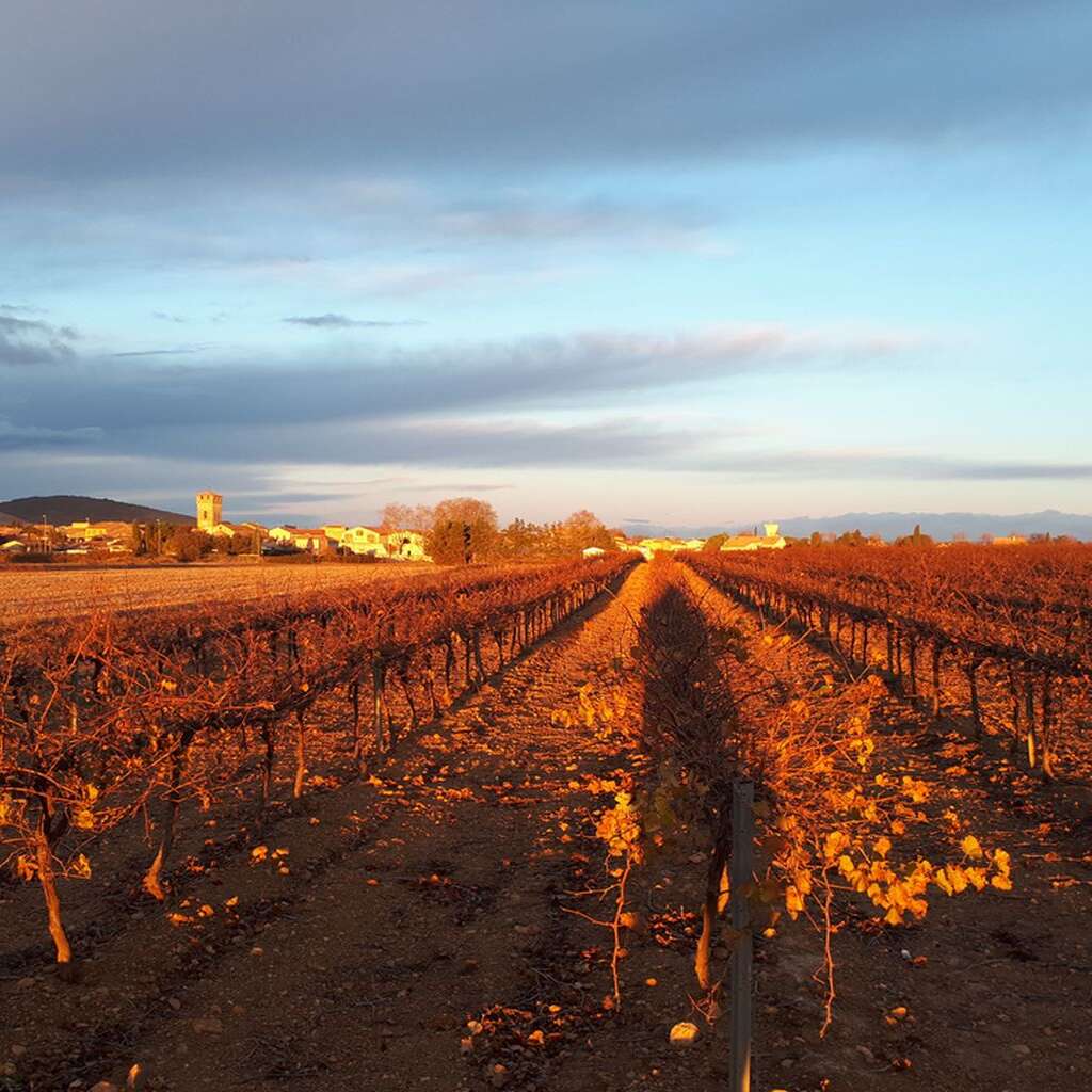 Villeneuve-lès-Maguelone | Montpellier Tourisme