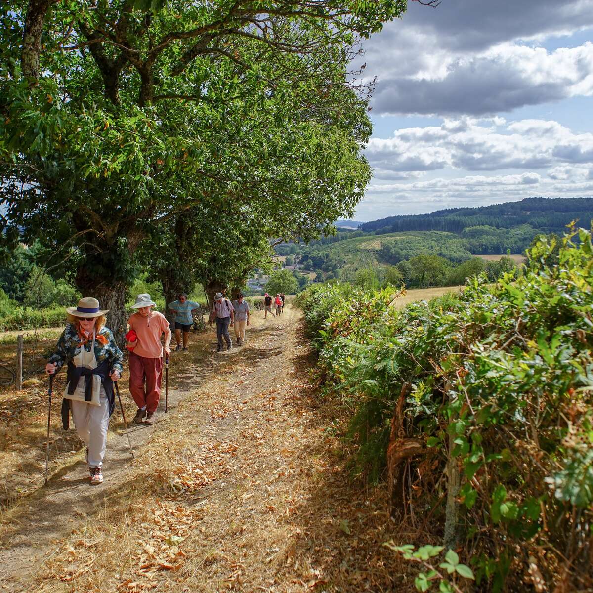 Bienvenue ! | Office de tourisme d'Autun et du Grand Autunois Morvan
