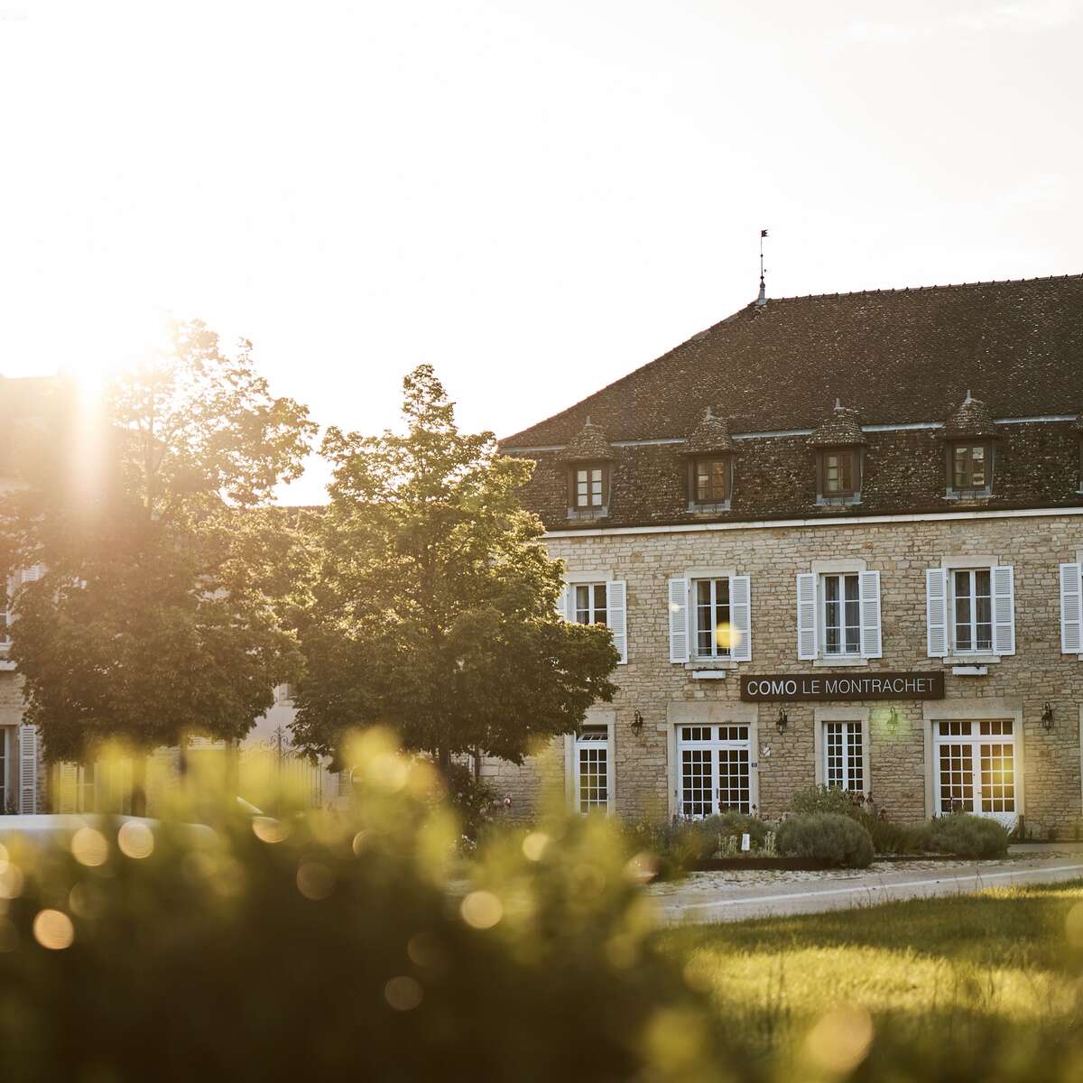 PULIGNY-MONTRACHET | Beaune and the Beaune region Tourism – Burgundy