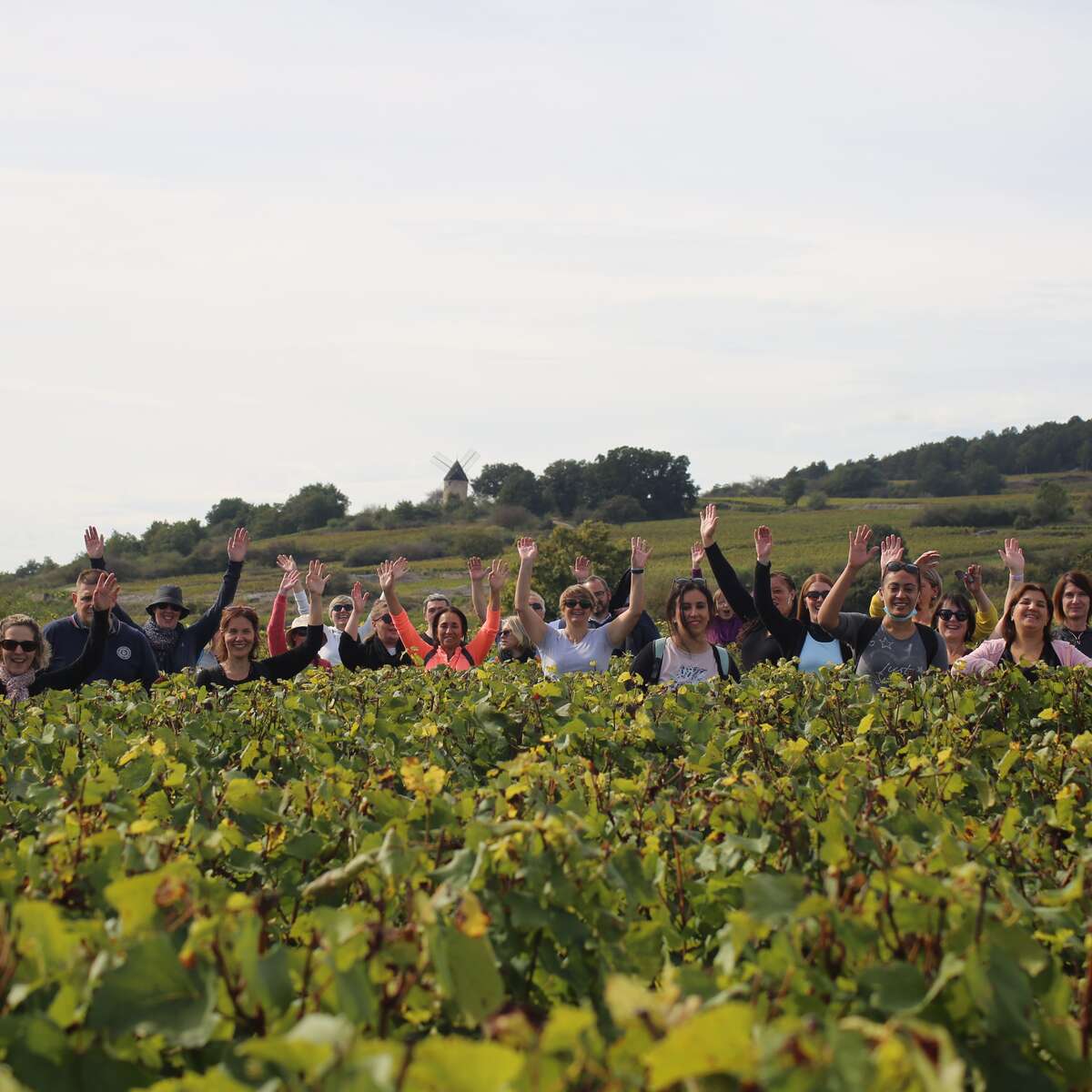 Plan je bezoek | Toerisme in Beaune en de regio Beaune – Bourgondië