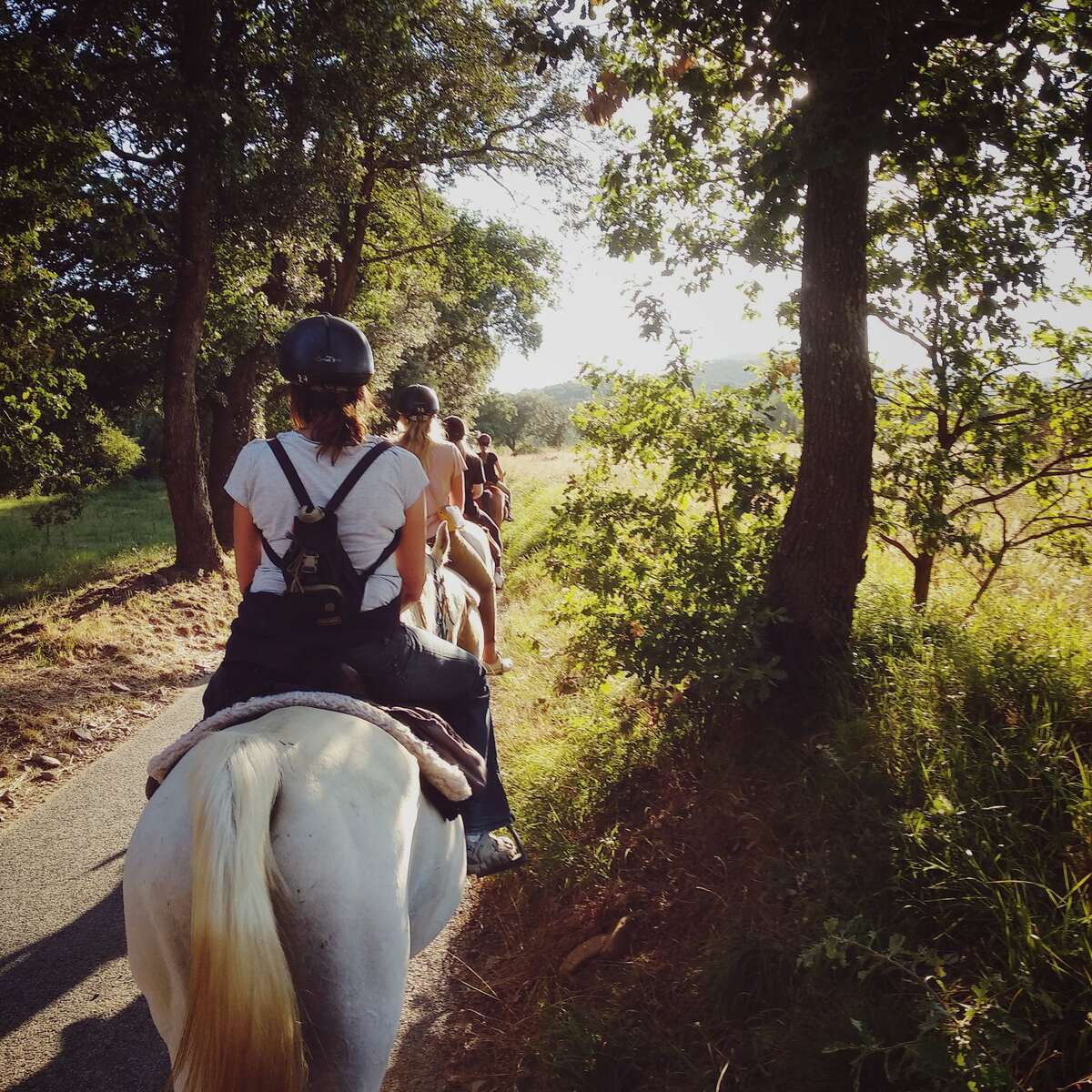 Balade à cheval en Camargue | Provence-Alpes-Côte d'Azur Tourisme