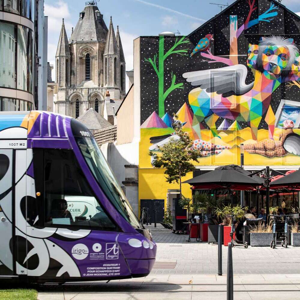 Tourism | Destination Angers
